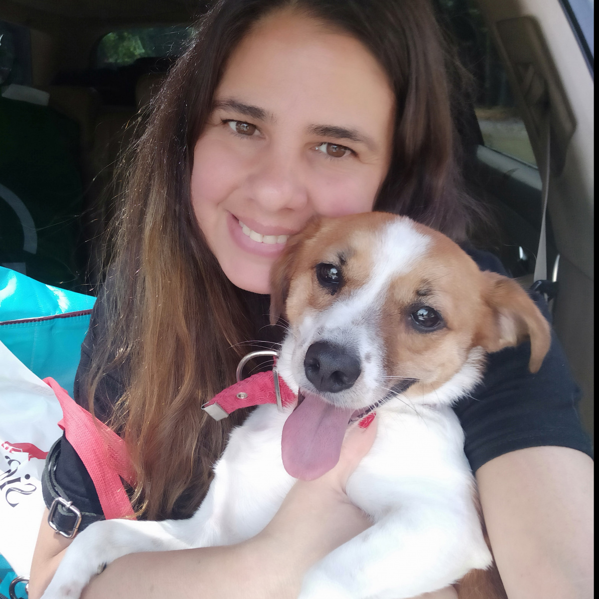 Cecilia F. paseos y cuidado de perros en Las cañitas, Buenos Aires ...