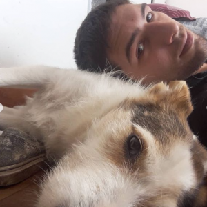 Leandro V. paseos y cuidado de perros en Plaza de la intendencia, paseo ...